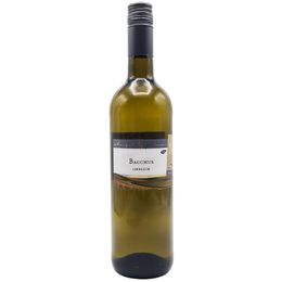 Weingut Mengel-Eppelmann Bacchus 2024 Lieblich - Rheinhessen &ndash; Wei&szlig;wein Qualit&auml;tswein