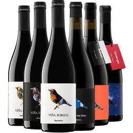 Vi&ntilde;a Zorzal Wines Kennenlernpaket Navarra DO Trocken - &ndash; Probierpaket DOP