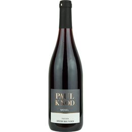 Weingut Paul Knod PAUL KNOD Sp&auml;tburgunder Blauer 2022 Trocken - Mosel &ndash; Rotwein Qualit&auml;tswein