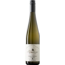 Weingut Rosenberger "Symphonie" Gr&uuml;ner Veltliner 2025 Trocken - Kamptal DAC &ndash; Wei&szlig;wein Qualit&auml;tswein
