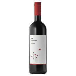Roccafiore Melograno Rosso Umbria Sangiovese 2022 Trocken - Umbrien &ndash; Rotwein IGP