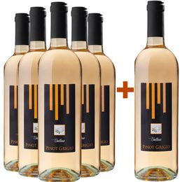 Bellese Vini 5+1 Paket Venezie Pinot Grigio Trocken - Venetien &ndash; Probierpaket DOC