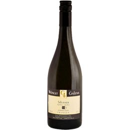 Weingut Galena Silvaner 2023 Trocken - Franken &ndash; Wei&szlig;wein Sp&auml;tlese
