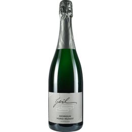 Weingut Helmut Geil Morio-Muskat 2022 Halbtrocken - Rheinhessen &ndash; Perl- & Schaumwein Sekt