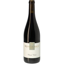 Weingut Brenneis-Koch Steinacker Pinot noir Barrique Sp&auml;tburgunder 2020 Trocken - Kallstadter Pfalz &ndash; Rotwein Qualit&auml;tswein