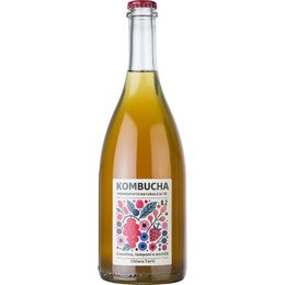 Pietro Torti KOMBUCHA N2 0.75 CL - Lombardei &ndash; Sonstiges Entalkoholisierter Wein