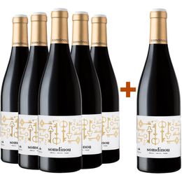 Cooperativa de Gandesa 5+1 Somdinou Tinto Crianza Terra Alta DO Cuv&eacute;e 2020 Trocken - Katalonien &ndash; Probierpaket DOP