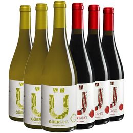 Bodegas Salzillo Verkostung Paket Rot-Weiss Jumilla DO Trocken - Murcia &ndash; Probierpaket DOP