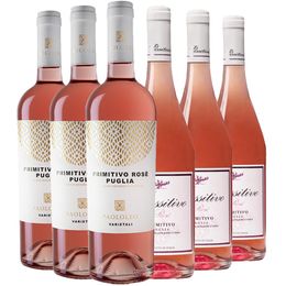 Cantine Paololeo Ros&eacute;-Paket Primitivo 2024 Trocken - Apulien &ndash; Probierpaket IGP