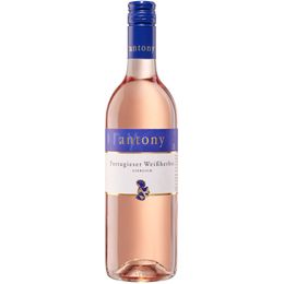 Weingut Antony Bechtheim Wei&szlig;herbst Portugieser 2025 Lieblich - Rheinhessen &ndash; Ros&eacute; Qualit&auml;tswein