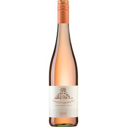 Weingut am &Ouml;lspiel Rotling 2024 Feinherb - Franken &ndash; Ros&eacute; Qualit&auml;tswein