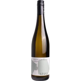 weingut stoll Sauvignon Blanc 2024 Trocken - Rheinhessen &ndash; Wei&szlig;wein Qualit&auml;tswein