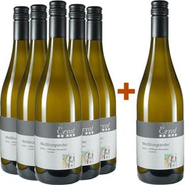 Weingut Ernst 5+1 Paket Wei&szlig;er Burgunder, , 2024 Trocken - Baden &ndash; Probierpaket Qualit&auml;tswein