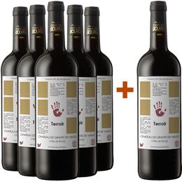 Ch&acirc;teau les Graves de Viaud 5+1 Paket cuv&eacute;e "Terroir" C&ocirc;tes Bourg Cuv&eacute;e 2019 Trocken - Bordeaux &ndash; Probierpaket AOP