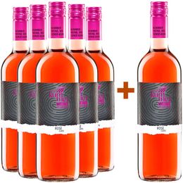 Kummer 5+1 Ros&eacute; Cuv&eacute;e Paket 2024 Trocken - Burgenland &ndash; Probierpaket Qualit&auml;tswein