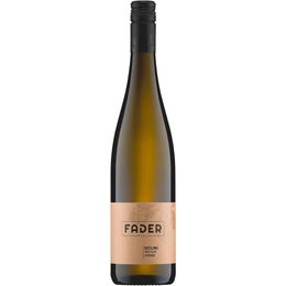 Weingut Fader Schiefer Riesling 2023 Trocken - Pfalz &ndash; Wei&szlig;wein Qualit&auml;tswein