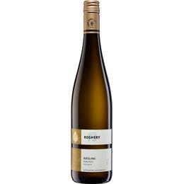 Weingut F-J Regnery Bruderschaft Riesling 2024 Trocken - Kl&uuml;sserather Mosel &ndash; Wei&szlig;wein Kabinett