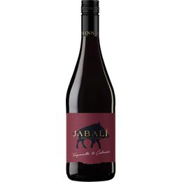 Bodegas Paniza Jabal&iacute; Tempranillo - Cabernet Cari&ntilde;ena DO Cuv&eacute;e 2024 Aragonien &ndash; Rotwein DOP