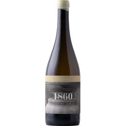 Bodegas Cano 1860 Blanco en Tinajas Almansa DO Sauvignon Blanc 2025 Trocken - Kastilien-La Mancha &ndash; Wei&szlig;wein DOP
