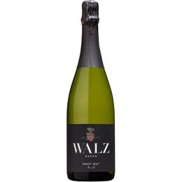Weingut Josef Walz Pinot Flaggschiff brut Pinotage Brut - Baden &ndash; Perl- & Schaumwein Sekt