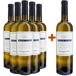 Villa Vitas 5+1 Paket Sauvignon Friuli Blanc 2024 Trocken - Friaul &ndash; Probierpaket DOC