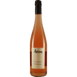 Weingut Antony Portugieser Wei&szlig;herbst 2024 Lieblich - Rheinhessen &ndash; Wei&szlig;wein Qualit&auml;tswein