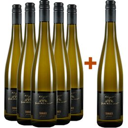 Weingut Wissgott 5+1 Paket Silvaner 2023 Feinherb - Rheinhessen – Probierpaket Qualitätswein