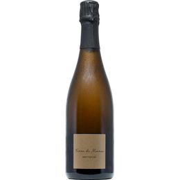 Celler Terra de Marca Vintage Cava DO brut nature Xarello 2014 Brut - Katalonien &ndash; Perl- & Schaumwein DOP