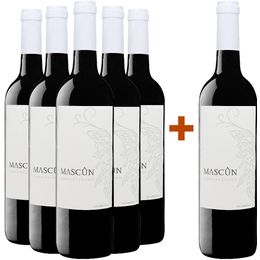 Bodegas Osca Aktionspaket 5+1 Garnacha Crianza Somontano DO Tinta 2019 Trocken - Aragonien &ndash; Probierpaket DOP