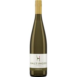 Haltinger Winzer eG Chasselas Gutedel 2022 Trocken - Baden-Markgräflerland Baden – Weißwein Qualitätswein