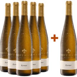 Weingut Hoffmann 5+1 Paket Kerner 2024 S&uuml;&szlig; - Mosel &ndash; Probierpaket Qualit&auml;tswein