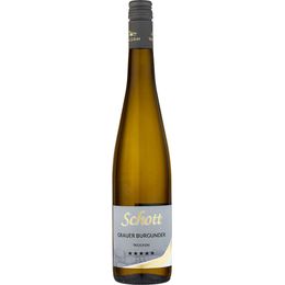 Weingut Schott Grauer Burgunder "" Grauburgunder 2022 Trocken - Stadecker Rheinhessen &ndash; Wei&szlig;wein Qualit&auml;tswein