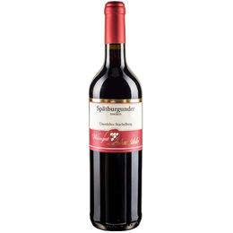 Weingut Lohm&uuml;hle Weingut Lohm&uuml;hle Sp&auml;tburgunder Blauer 2022 Trocken - Umst&auml;dter Stachelberg Hessische Bergstra&szlig;e &ndash; Rotwein Qualit&auml;tswein