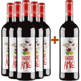 Bouquet d'Alella 5+1 Paket Entre Amics Alella DO Cuv&eacute;e 2023 Trocken - Katalonien &ndash; Probierpaket Vino