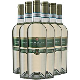 Sparici Landini Paket delle Venezie -Paket Pinot Grigio 2024 - Venetien &ndash; Probierpaket DOC