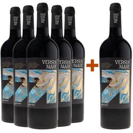 Bodegas Infante Aktionspaket 5+1 Versus Mare Syrah 2024 Trocken - Andalusien &ndash; Probierpaket Vino