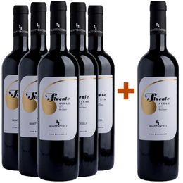 Quattrocieli 5+1 Paket Fluente Terre Siciliane Syrah 2023 Trocken - Sizilien &ndash; Probierpaket IGP