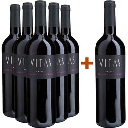 Villa Vitas 5+1 Friuli Cabernet Sauvignon 2022 Trocken - Friaul &ndash; Probierpaket DOC