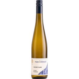 Weingut Bruno Schreieck Cabernet Blanc 2024 Feinherb - Hambacher Schlossberg Pfalz &ndash; Wei&szlig;wein Qualit&auml;tswein