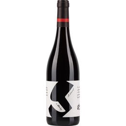 weingut glatzer St. Laurent Alte Reben Saint 2023 Trocken - Nieder&ouml;sterreich &ndash; Rotwein Qualit&auml;tswein