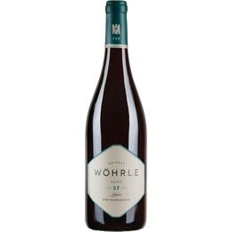 Weingut W&ouml;hrle Weingut W&ouml;hrle Lahrer BF Sp&auml;tburgunder 2023 Trocken - Baden &ndash; Rotwein VDP.Ortswein