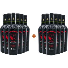 Otri del salento 6+6 Paket Primo Re Salento Primitivo 2022 Trocken - Apulien &ndash; Probierpaket IGP