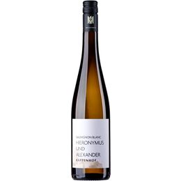 Weingut Rappenhof VDP.Gutswein Sauvignon Blanc 2024 Trocken - Rheinhessen – Weißwein Qualitätswein