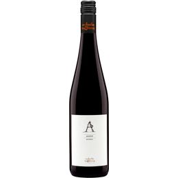 Weingut sechzehn ein&vierzig Accent 2023 Trocken - Rheingau &ndash; Rotwein Qualit&auml;tswein