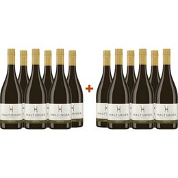 Haltinger Winzer eG 6+6 Paket Pinot Noir Sp&auml;tburgunder 2021 Trocken - Baden &ndash; Probierpaket Qualit&auml;tswein
