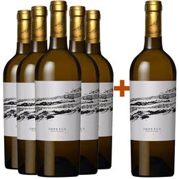 Ch&acirc;teau De Figui&egrave;res 5+1 Paket Impetus Blanc Cuv&eacute;e 2017 Trocken - Languedoc &ndash; Probierpaket IGP