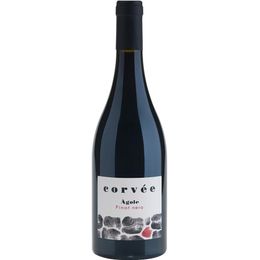 Corv&eacute;e &Agrave;gole Trentino Pinot Nero 2019 Trocken - &ndash; Rotwein DOC