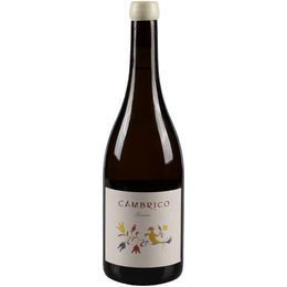 Vi&ntilde;as del Cambrico C&aacute;mbrico Pizarra Sierra de Salamanca Rufete Blanco 2020 Trocken - Kastilien und Le&oacute;n &ndash; Wei&szlig;wein DOP