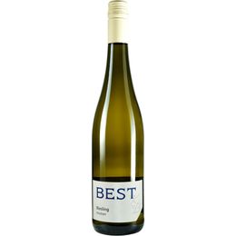 Weingut Best Riesling 2025 Trocken - Rheinhessen &ndash; Wei&szlig;wein Qualit&auml;tswein
