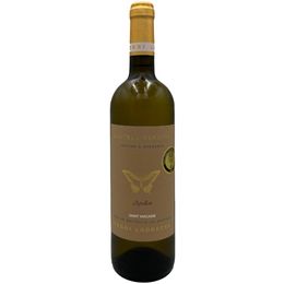 Ch&acirc;teau Perayne Apollon C&ocirc;tes de Bordeaux Saint Macaire S&eacute;millon 2024 Trocken - &ndash; Wei&szlig;wein AOP